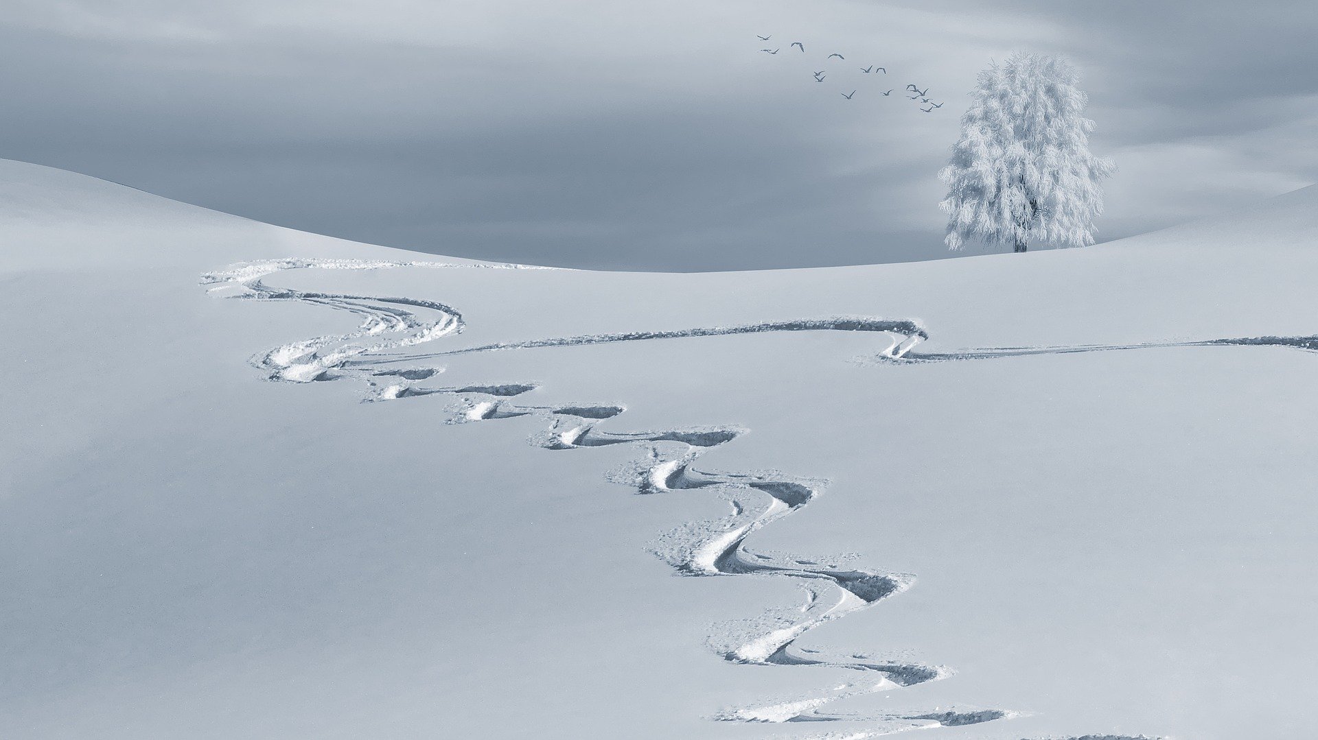 Ski Turn Radius For Beginners Explained SkiingLab Ski Turn Radius For Beginners Explained SkiingLab